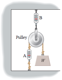 Solved: Spring Scale A Is Attached To The Floor And A Rope... | Chegg.com