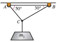 Solved Determine the tension in each cable supporting the | Chegg.com
