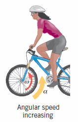 Solved: A Rider On A Mountain Bike Is Traveling To The Lef... | Chegg.com