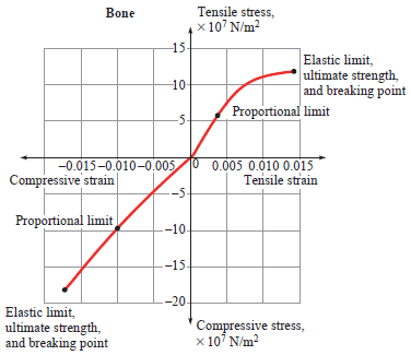Solved: Using The Stress-strain Graph For Bone (see Figure... | Chegg.com