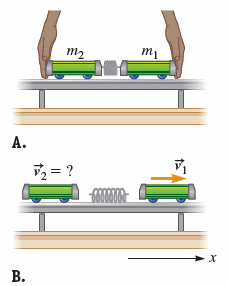 Solved There is a compressed spring between two laboratory | Chegg.com