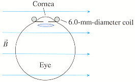 Solved: A Current Is Induced In The Coil Each Time The Sub... | Chegg.com