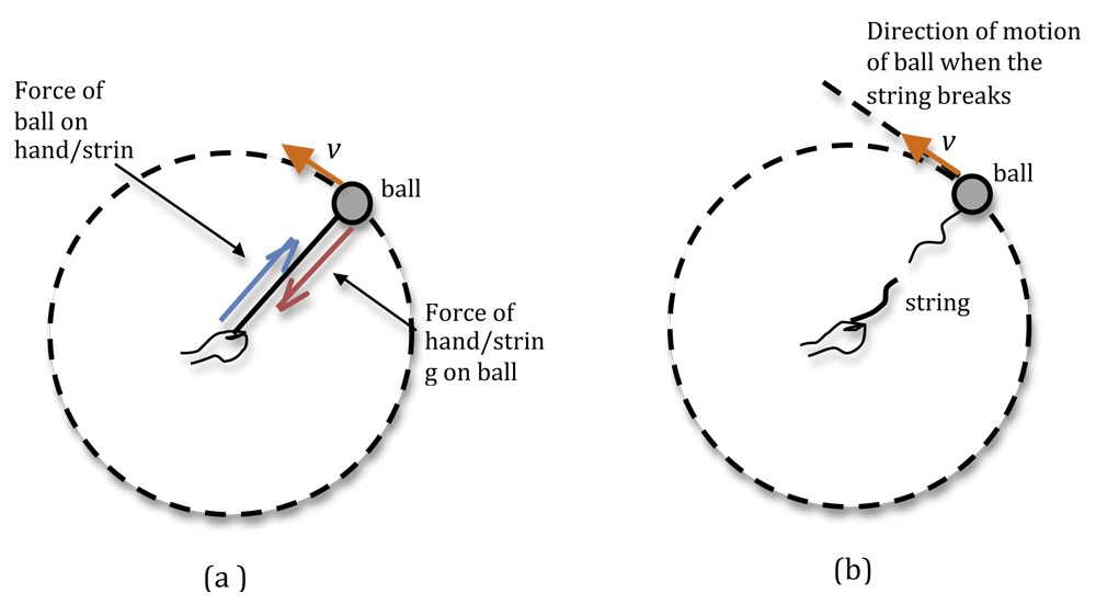 Lab 4 - Uniform Circular Motion