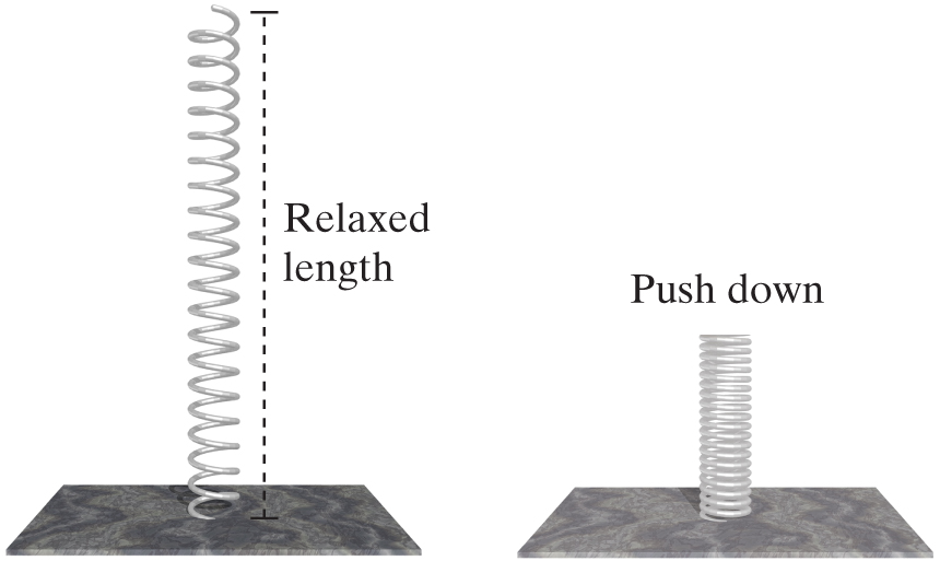 Solved: A Spring Of Stiffness 122 N/m, And With Relaxed Le... | Chegg.com