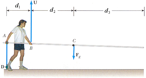 Solved: A Vaulter Holds A29.4 N Pole In Equilibrium By Exe... | Chegg.com