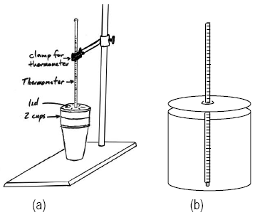 Lab 3 - Heats of Transition, Heats of Reaction, Specific Heats, and ...