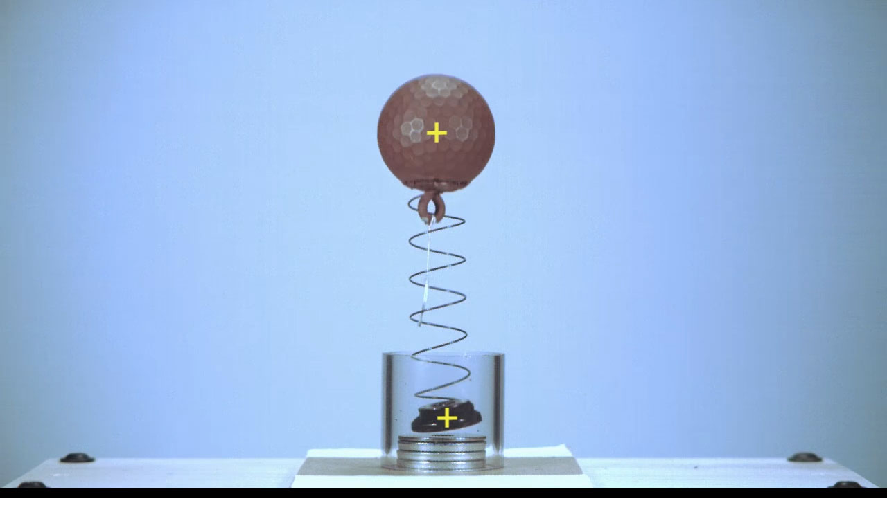 Interactive Video Vignette
