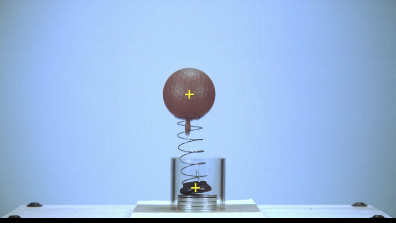 Interactive Video Vignette