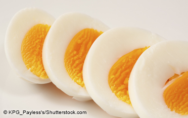 Calculus Simulation 2