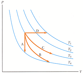 Solved: Identify The Paths A, B, C, And D In The Figure Be... | Chegg.com