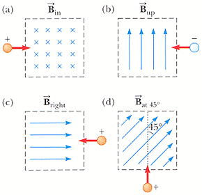 Right hand rule - Homework Lib