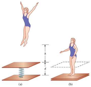 Solved A 48.5 kg circus acrobat drops from a height of 1.62 | Chegg.com