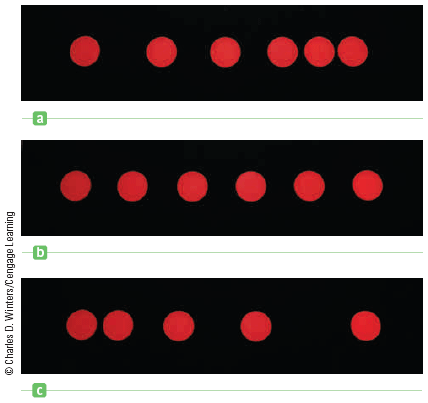 Solved: The Figure Below Shows Strobe Photographs Taken Of... | Chegg.com