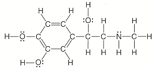 Solved: Epinephrine (or Adrenaline) Is A Naturally Occurri... | Chegg.com