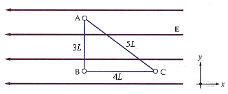 What's The Difference Between Lv And Lv Extra Math | Paul Smith