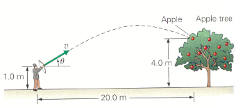 Solved: William Tell Is Shooting At An Apple That Hangs On... | Chegg.com
